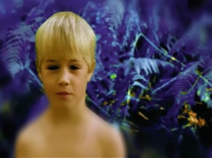 The Human Body - Episode 1 (1998)